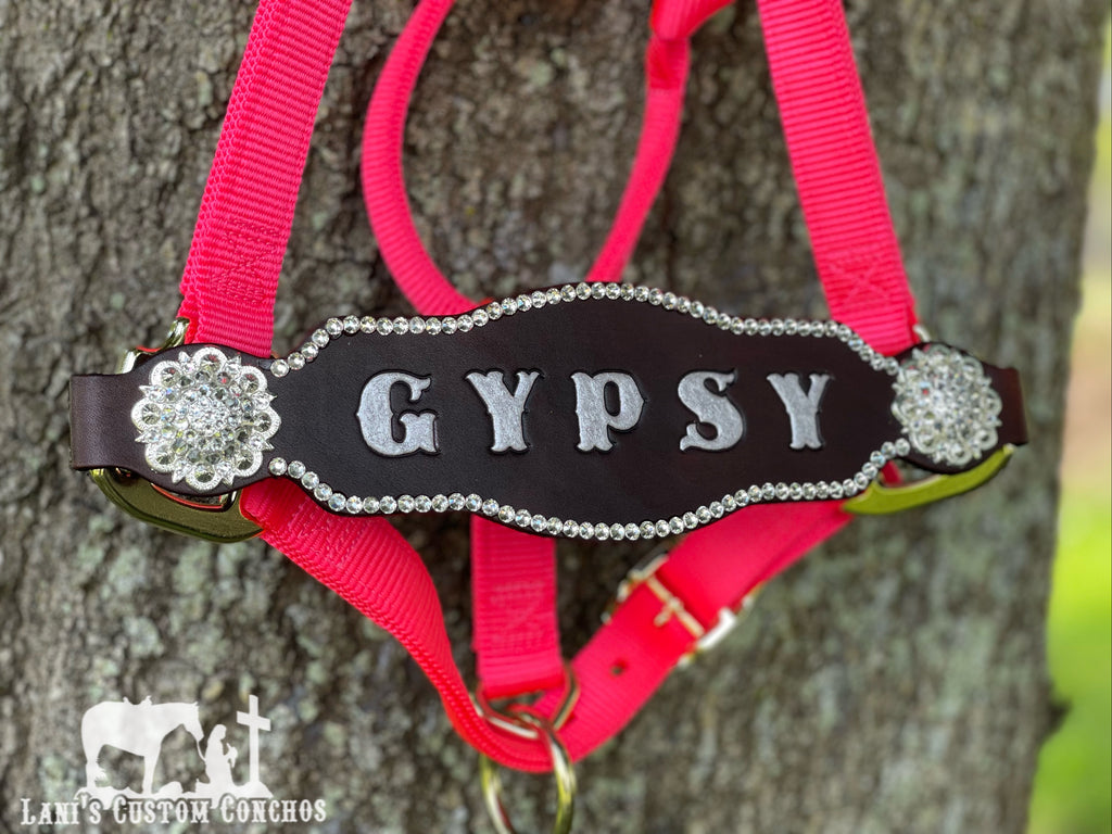Gypsy Halter – Lani's Custom Conchos & Tack