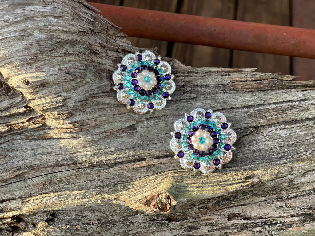 Pearl, Light Turquoise, & Purple Velvet – Lani's Custom Conchos & Tack
